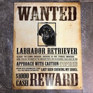NA | Wall Decor | Wanted Poster Labrador Retriever Dog Metal Sign ...